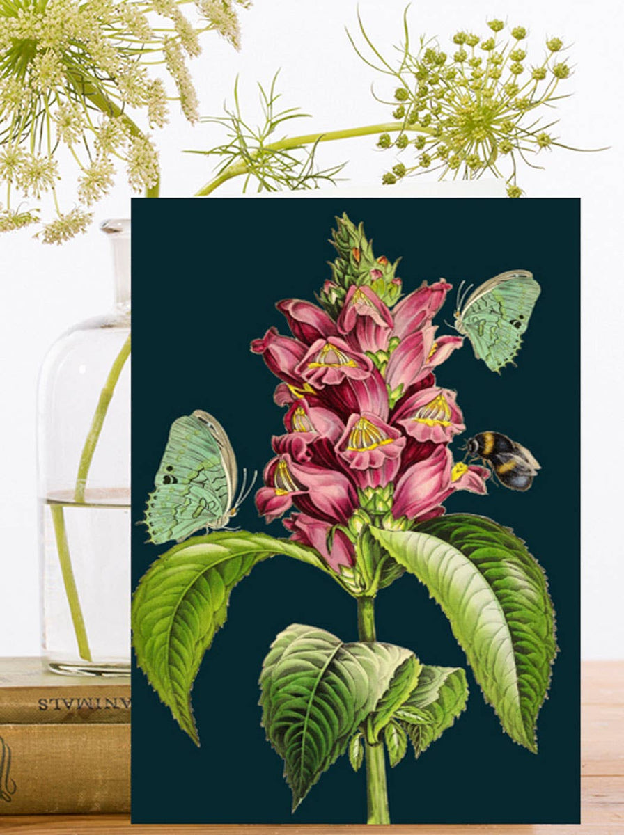 Snapdragon Botanical Card – Fino Lino Fine Linens & Accessories